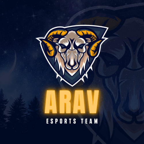 [LVUP] ARAV_Esports